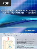 Cavings Poster-1 SLB | PDF | Borehole | Fracture