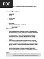 Flow Sheet - Procesos Antapaccay | Business