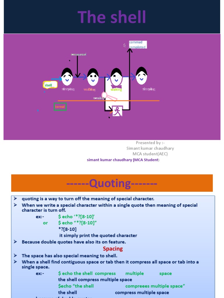 The Shell: Simant Kumar Chaudhary (MCA Student | PDF | Command Line ...