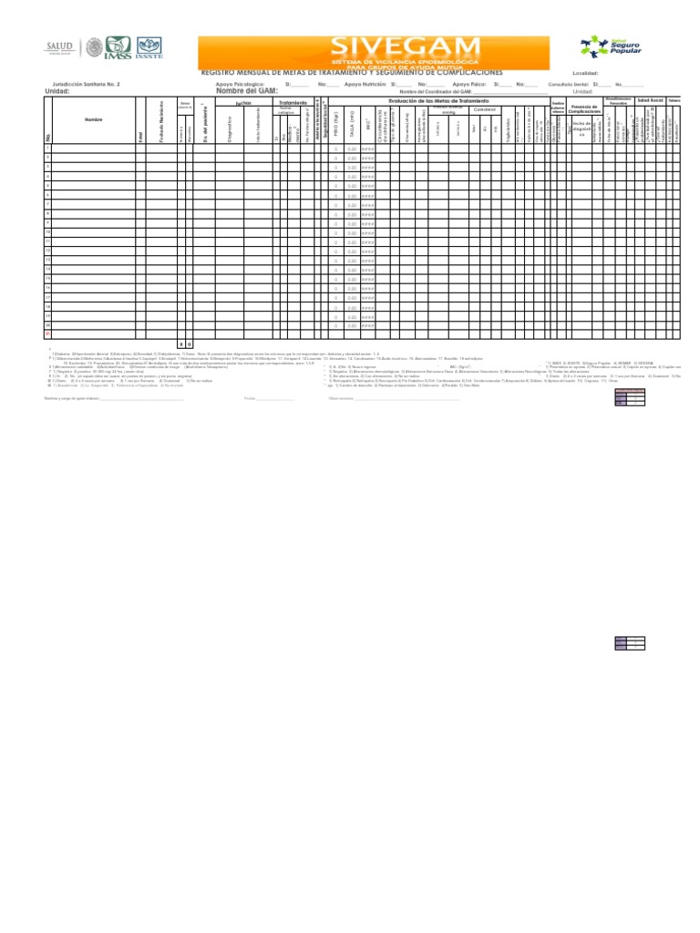 Formato Oficial Registro Mensual De Metas 2013 Gam Pdf Obesidad