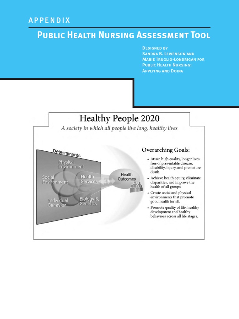 Assessment Tool | Public Health | Nursing