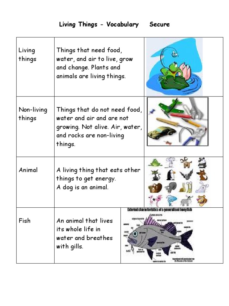 Living Things Vocabulary | PDF | Predation | Reptile