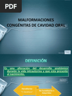 Microglosia y Macroglosia | PDF | Inflamación | Lengua