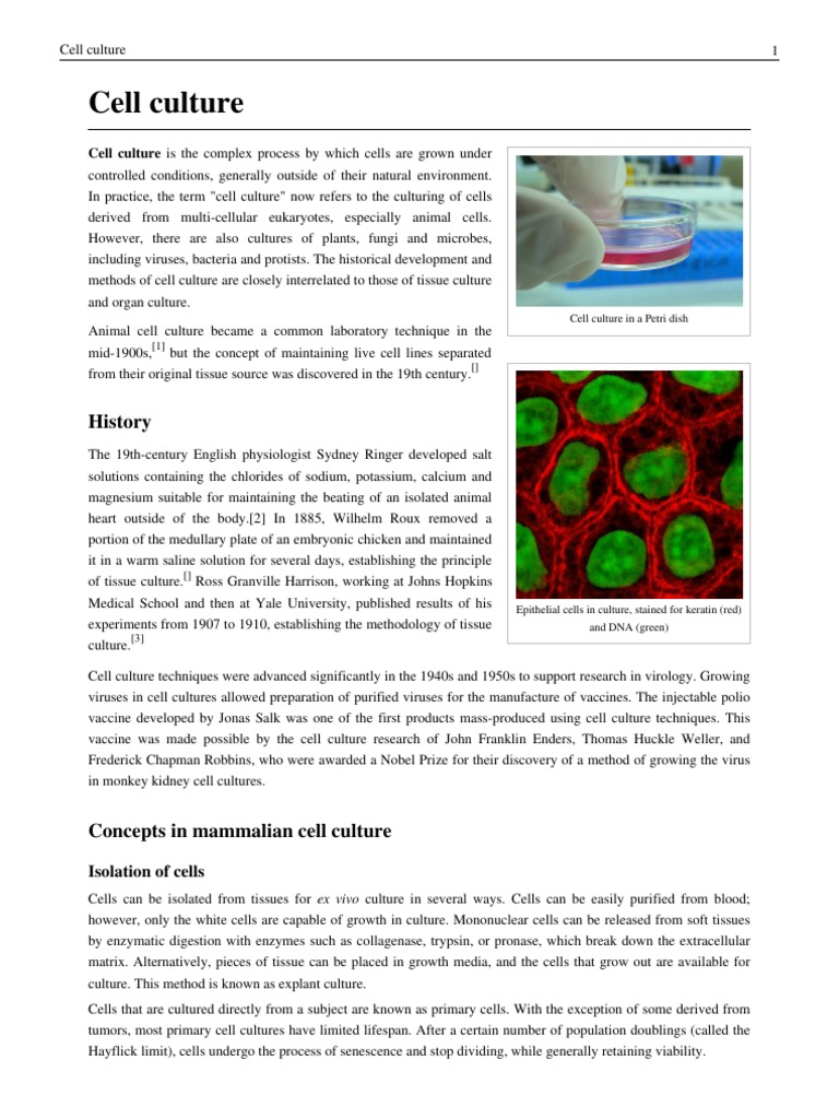 Overview of Cell Culture Techniques | PDF