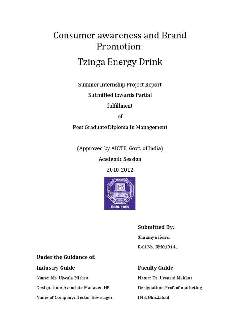 Tzinga Energy Drink Marketing Insights | PDF | Drink | Promotion ...