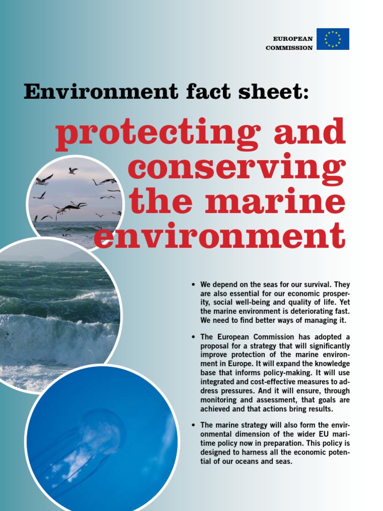 Protecting and Conserving The Marine Environment | PDF | Sea | European ...