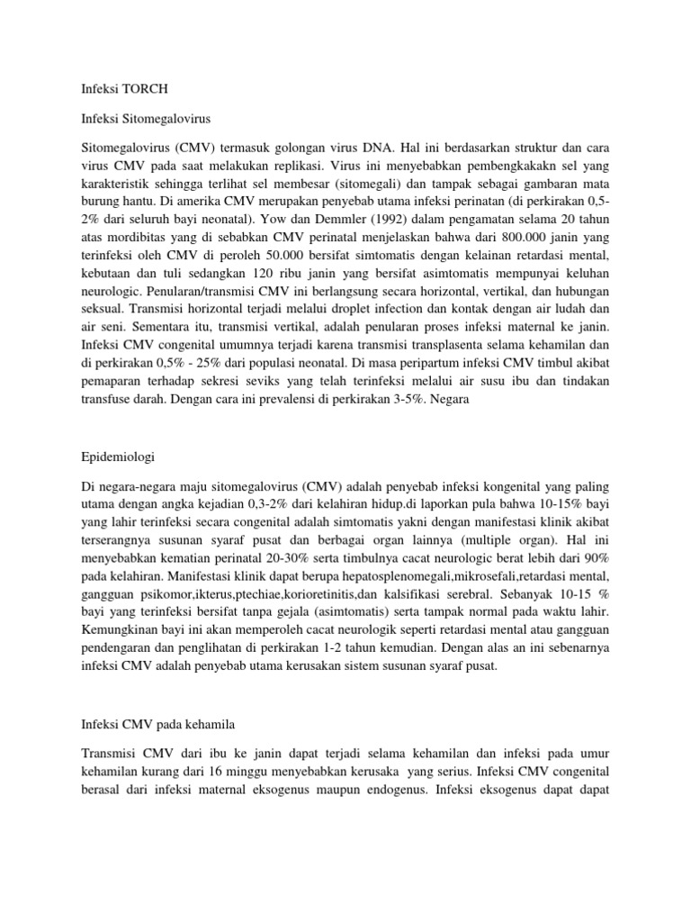 Infeksi TORCH | PDF