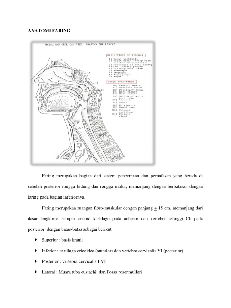 Tonsilofaringitis | PDF