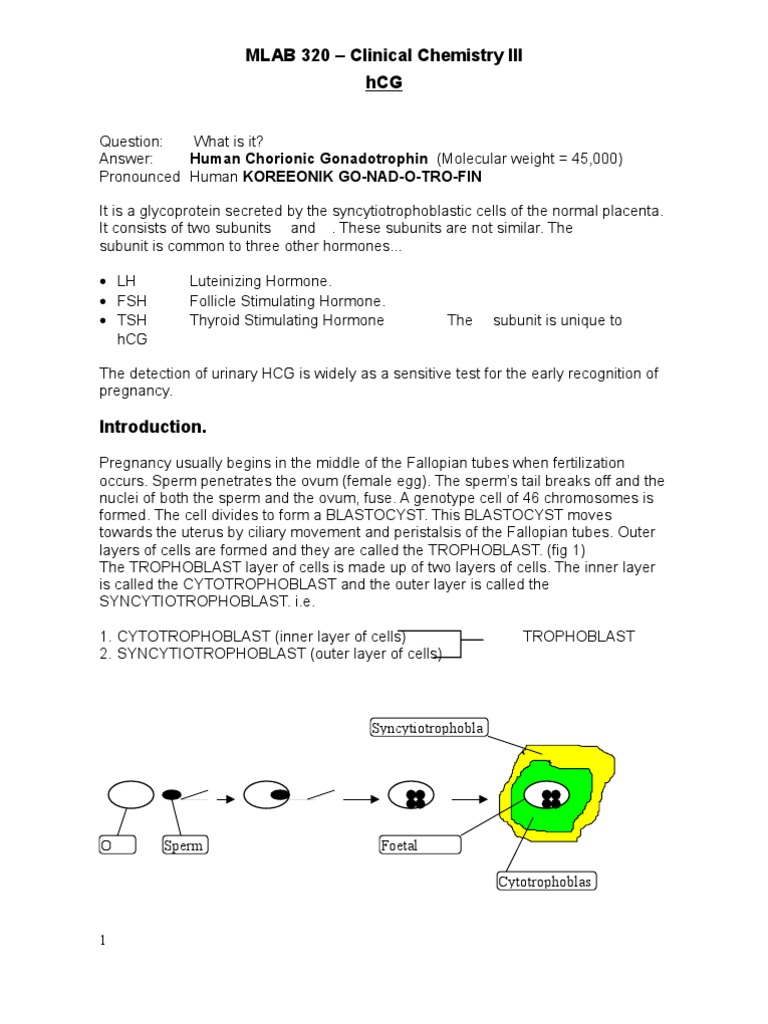 HCG Lab Report | PDF | Human Chorionic Gonadotropin | Luteinizing Hormone