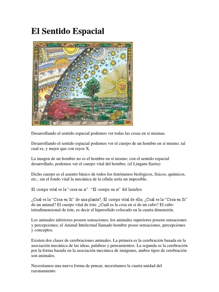 El Sentido Espacial | PDF | Dimensión | Percepción