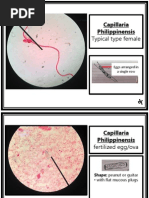 Parasitology (Laboratory) - Trichuris Trichiura | PDF | Social Science