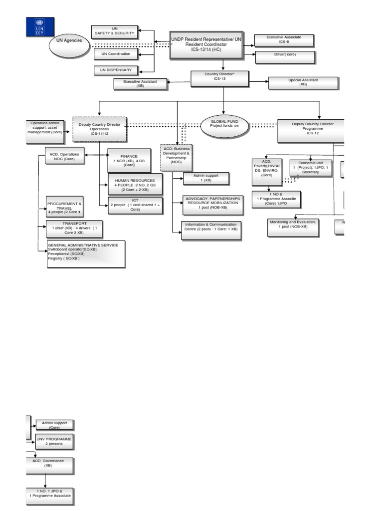UNDP Organizational Structure Overview | PDF