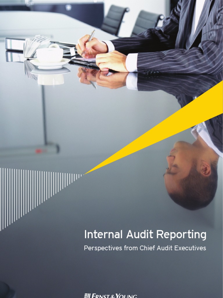 Internal Audit Reporting - Perspectives From Chief Audit Executives ...