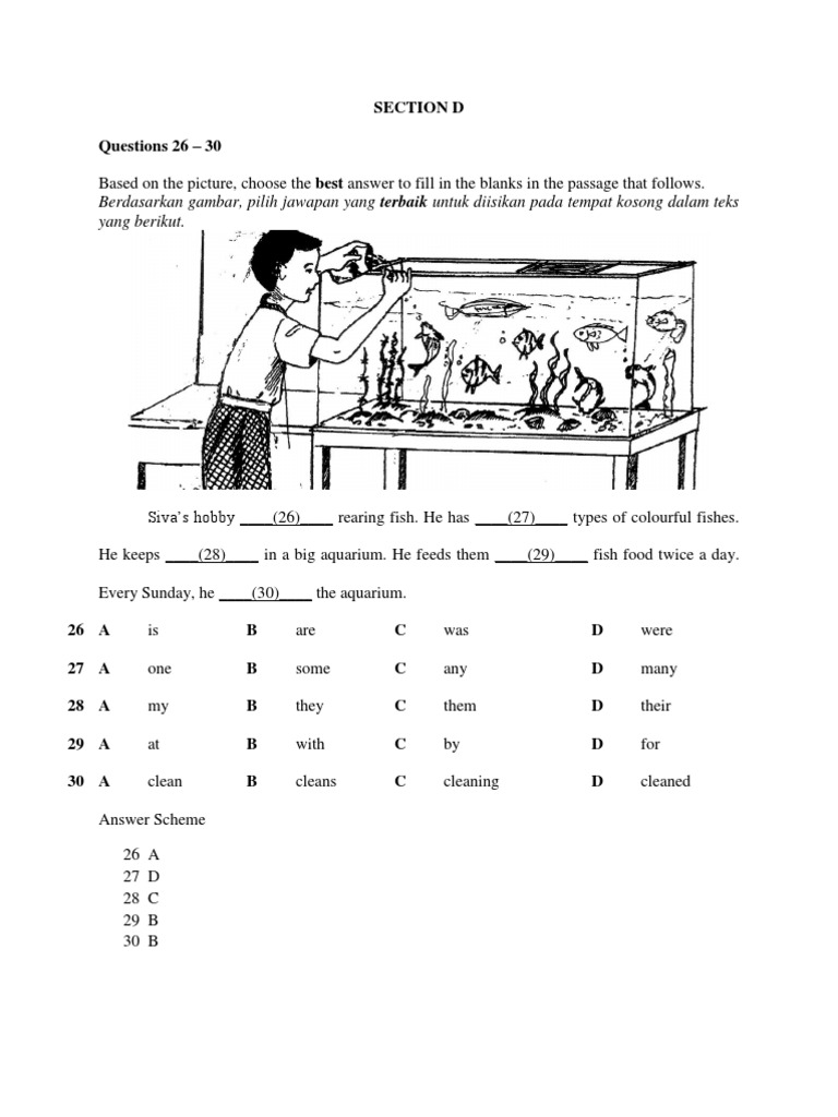 Aquarium Hobby Fill-in-the-Blanks | PDF