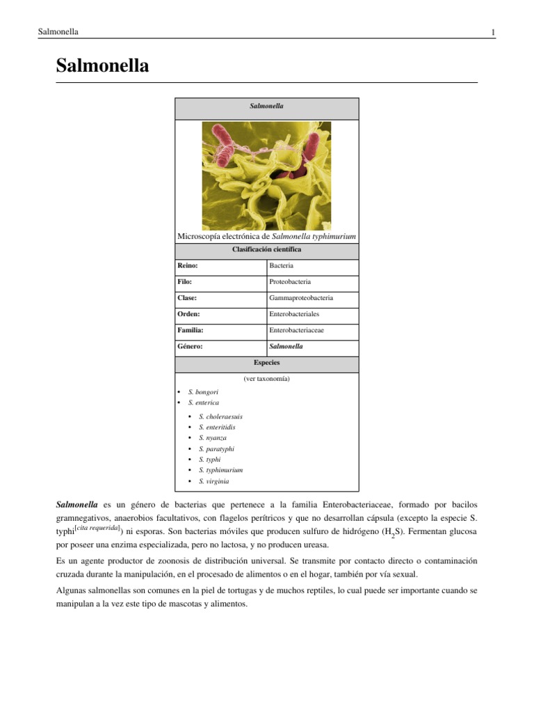 salmonella.pdf | Salmonela | Salud pública