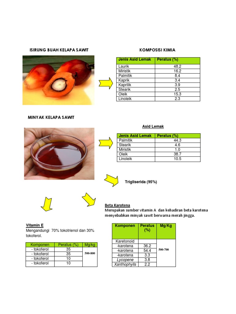 Isirung Buah Kelapa Sawit Komposisi Kimia | PDF