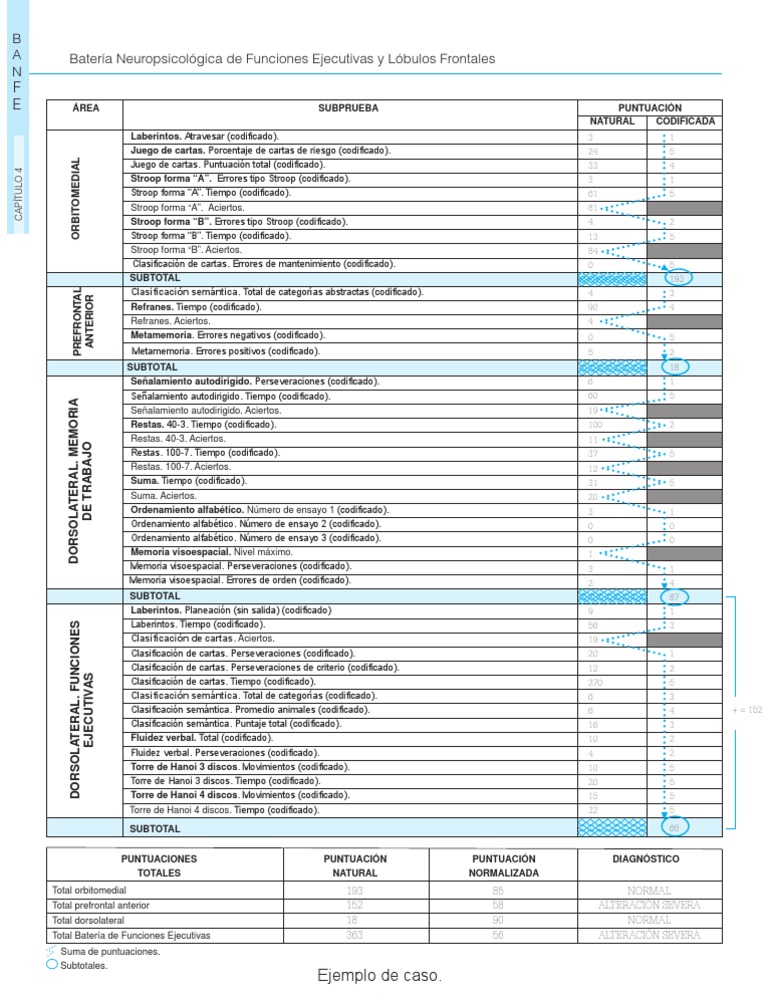 BANFE | PDF | Evaluación neuropsicológica | Ciencia cognitiva