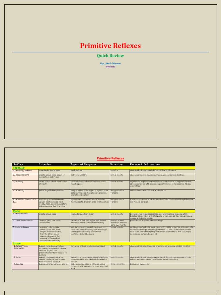 Primitive Reflexes | PDF | Anatomical Terms Of Motion | Foot