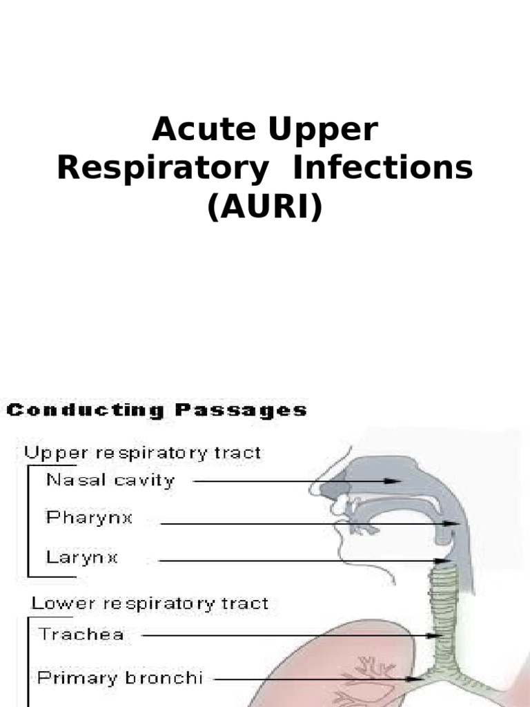Acute Upper Respiratory Tract InfectionsMB, BS | PDF | Respiratory ...