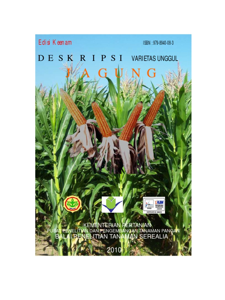 Deskripsi Varietas Unggul Jagung Seri 06 | PDF