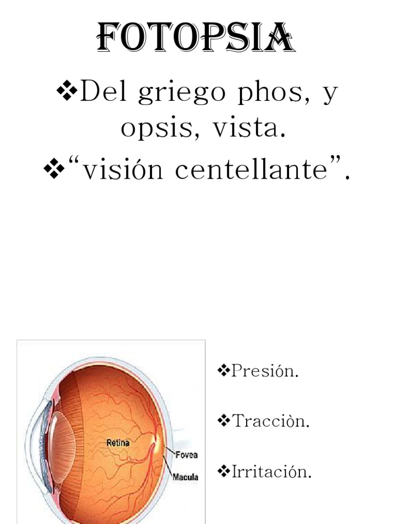 FOTOPSIA | PDF | Historia