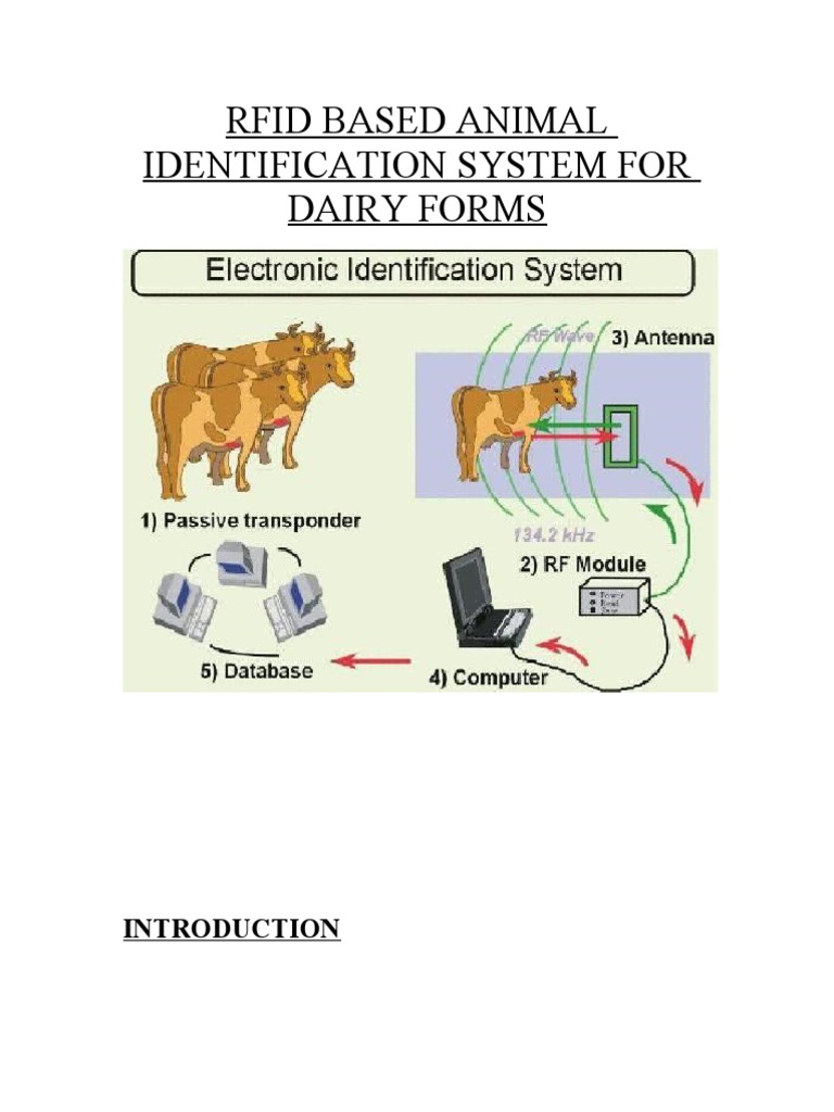 Animal Identification Using RFID | Radio Frequency Identification ...