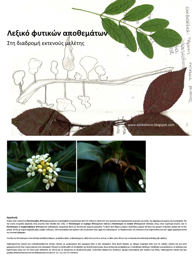 φυτολογιο - αστικο χωριο | PDF