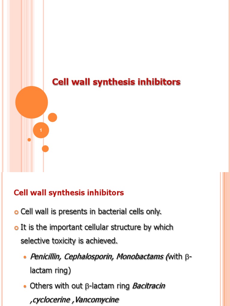 Cell Wall Synthesis Inhibitors | Penicillin | Enzyme Inhibitor