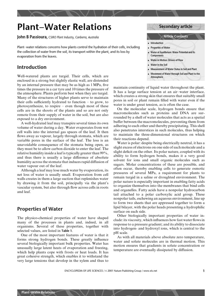 Plant Water Relations PDF | PDF | Stoma | Pressure