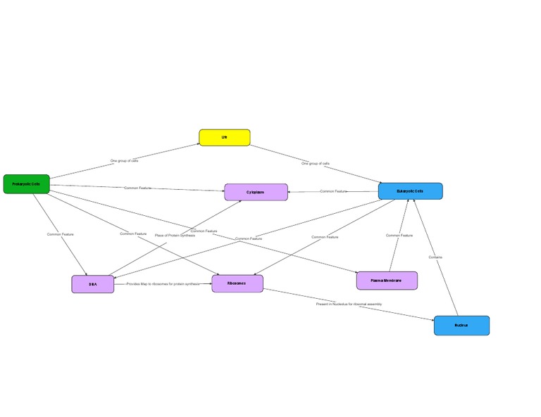 Cell Biology Concept Map - Vibhav Singh | PDF