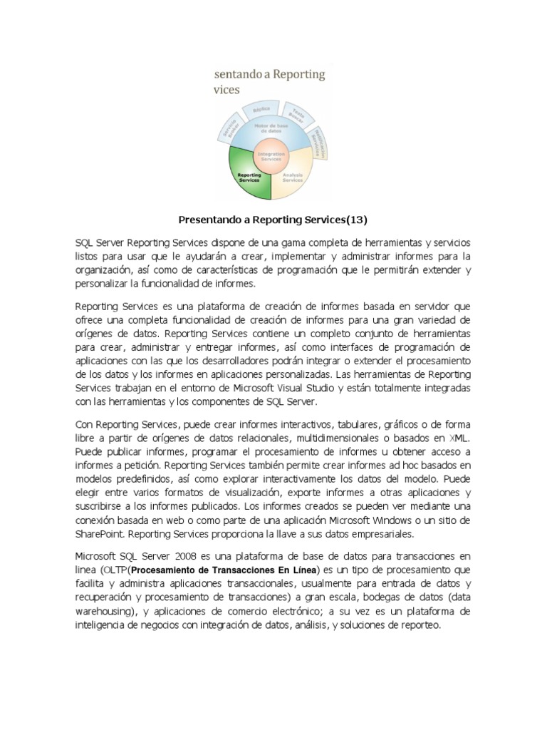 Tutorial Completo Report Builder | PDF | Servidor SQL de Microsoft | Bases de datos
