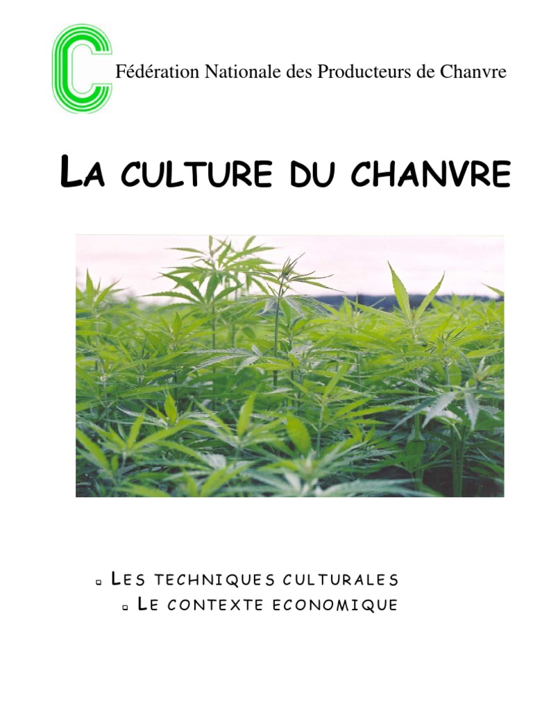 3 Facteurs De Culture Du Chanvre Industriel En Serre – FDOMF