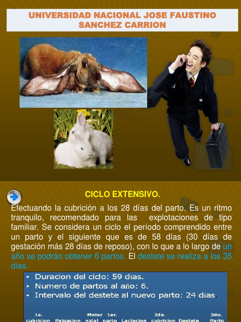 Clase 2 - Manejo de Conejos | PDF | Destete | Leche