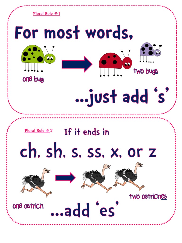 English Pluralization Rules Explained | PDF