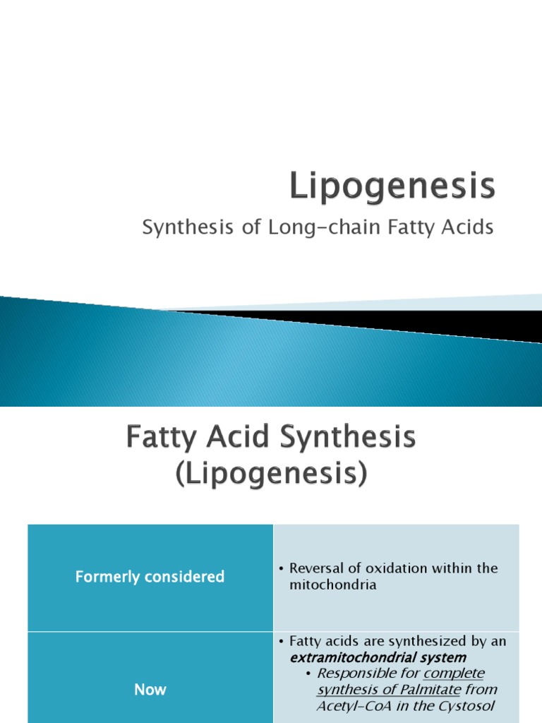 Lipogenesis | PDF | Biosynthesis | Fatty Acid