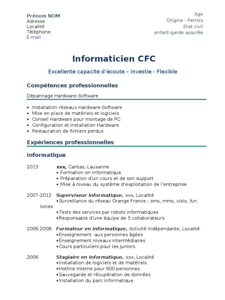 CV Informaticien | PDF