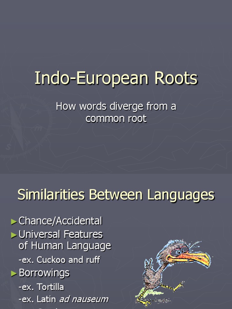 Tracing Linguistic Roots: A Comparative Analysis of Proto-Indo-European ...
