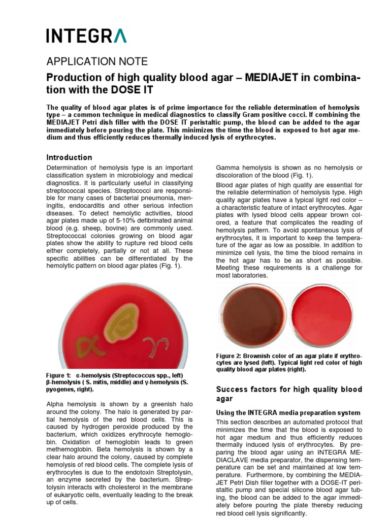 Blood Agar Preparation V00 | PDF | Streptococcus | Clinical Pathology