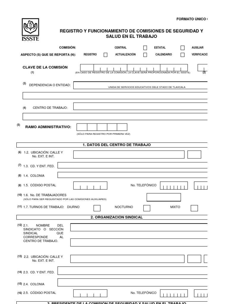 Formato Unico CSST | PDF