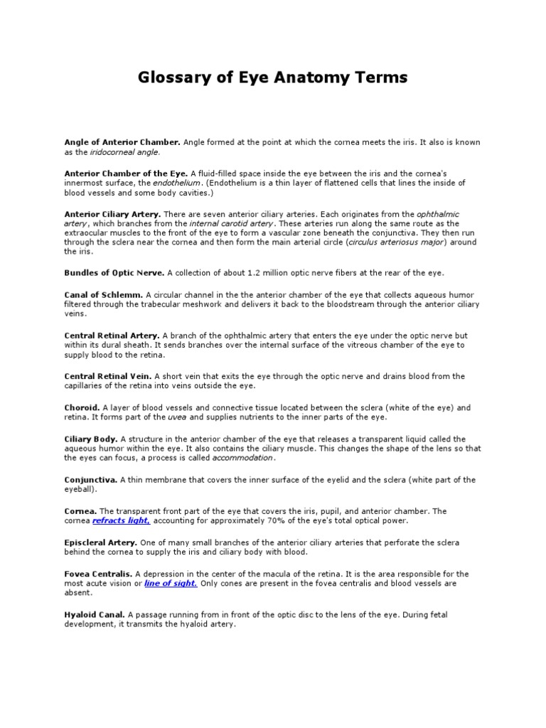 Glossary of Eye Anatomy Terms | PDF | Human Eye | Cornea