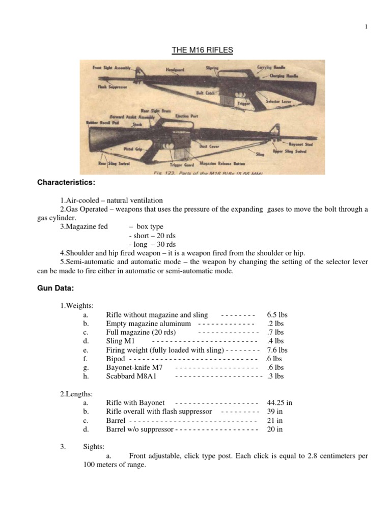 M16A M16A1 Rifles | PDF | Rifle | Magazine (Firearms)