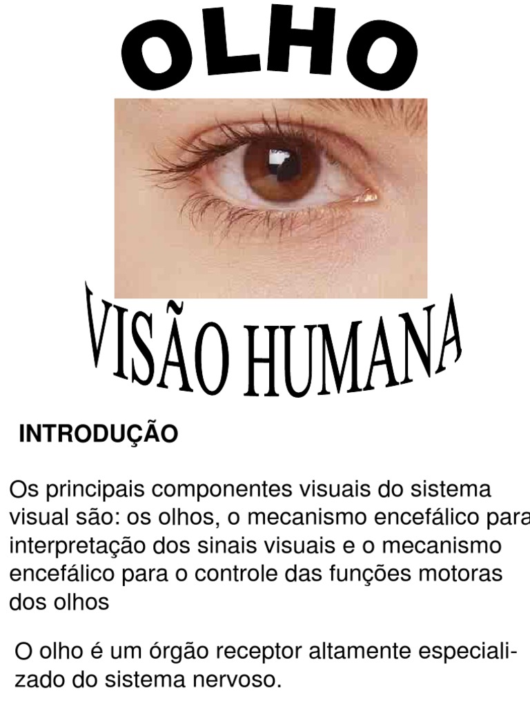 A anatomia e funcionamento do sistema visual humano: os componentes do ...