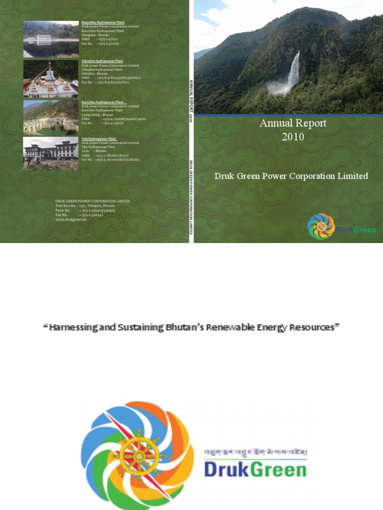 DGPC Annual Report 2010 Summary | PDF | Audit | Dividend