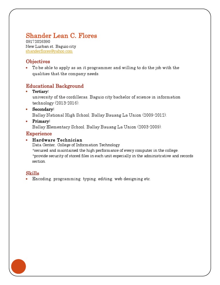 IT Programmer Resume of Shander Flores | PDF