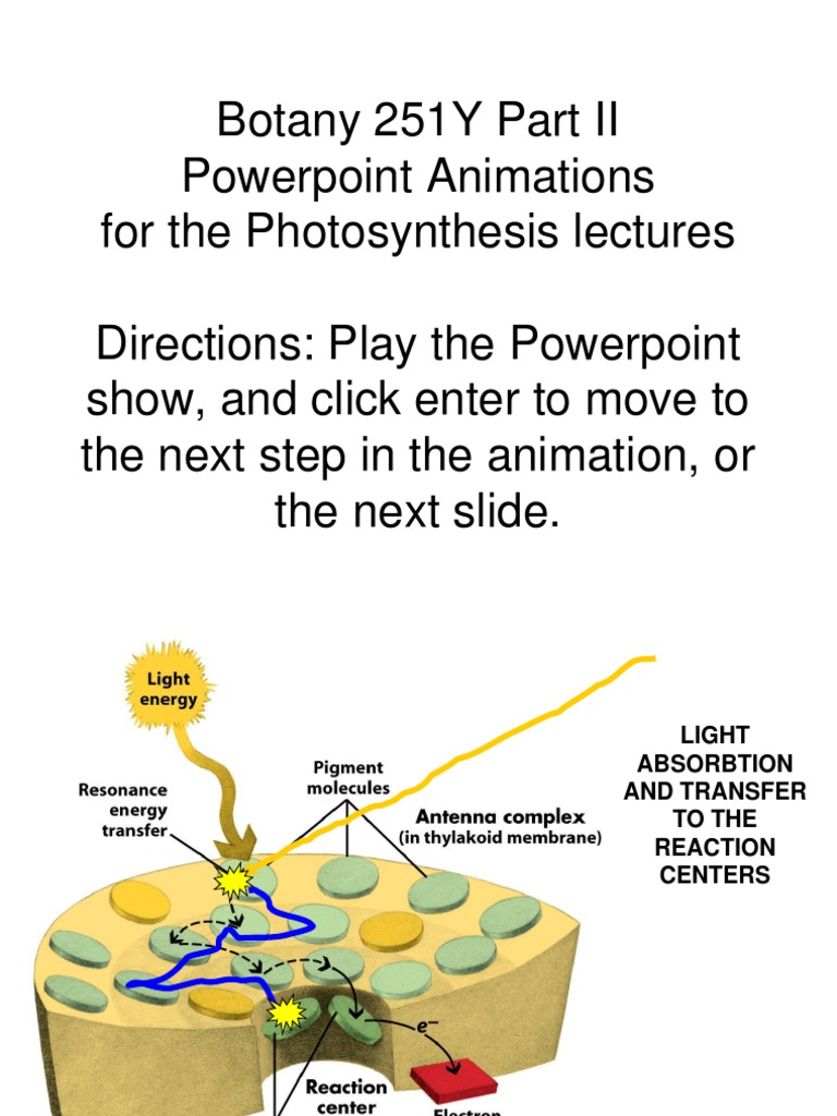 Photosynthesis Animations | PDF