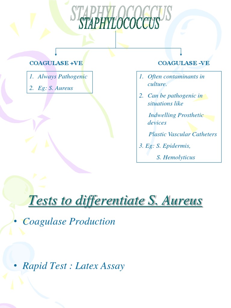 Coagulase +ve Coagulase - Ve | PDF | Staphylococcus Aureus | Streptococcus