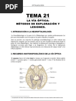 Ficha de Optometria | PDF
