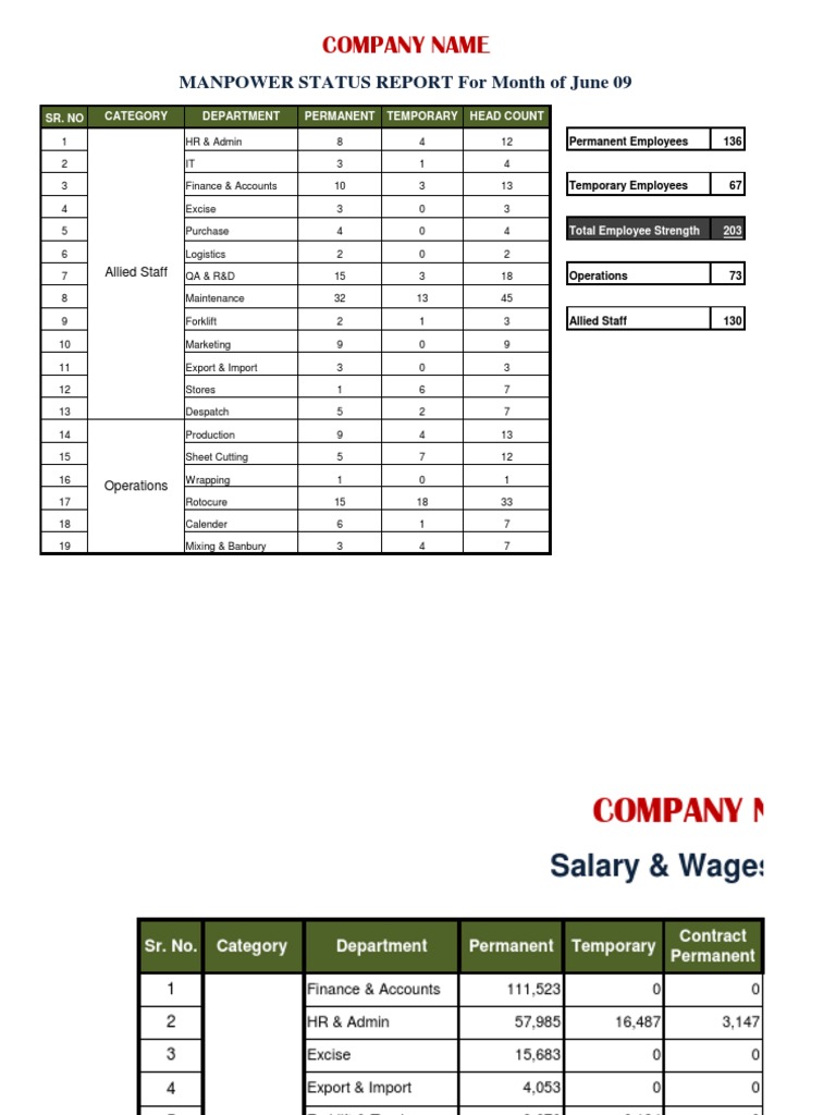 Company Name: Manpower Status Report For Month of June 09 | PDF ...