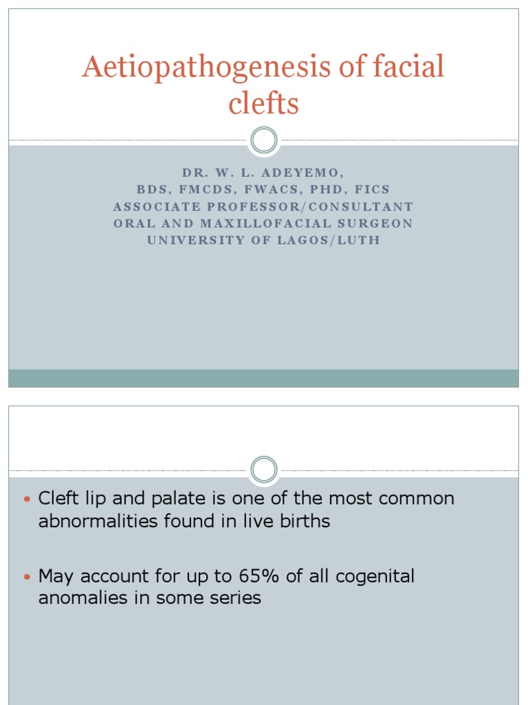 Aetiopathogenesis of Facial Clefts | PDF | Congenital Disorder | Folic Acid