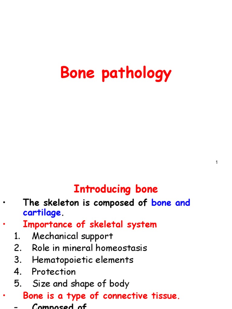 01 Bone - Introduction | PDF | Osteoblast | Bone